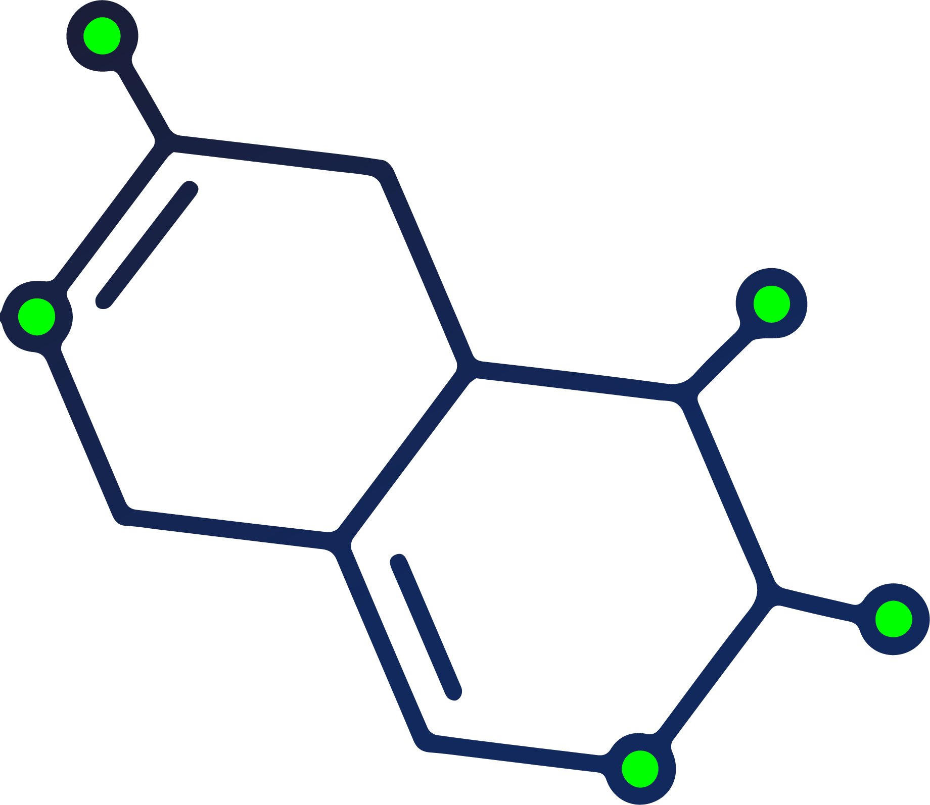 Opticon Data Solutions: Corporate Compliance Vision